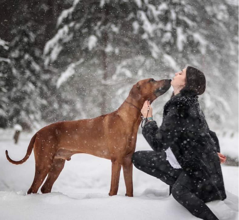 ABOUT ME - Annie Millard